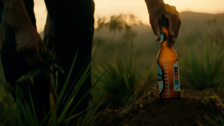 ‘Nativa Meter’: Bavaria-AB InBev and L&C New York Craft Initiative to ...