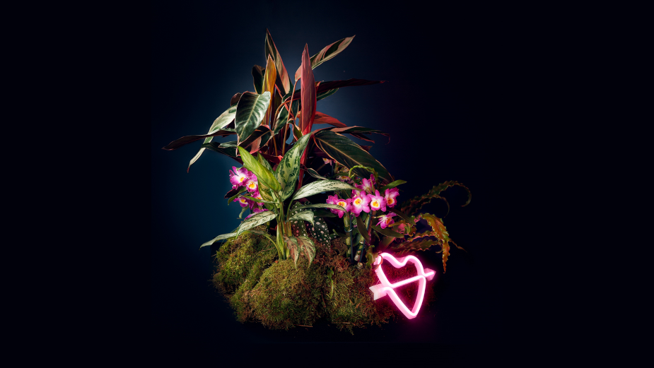 Houseplants are Reimagined as Romantic Partners in Lonely Plants Club's ...