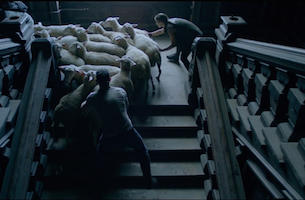 Embark on a Storm Chase in This Gripping Docudrama for Weather Bot ...