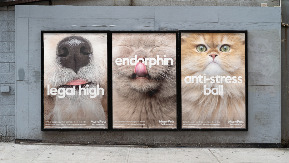 Playful Pets Get Their Close Up for ManyPets Insurance Campaign | LBBOnline