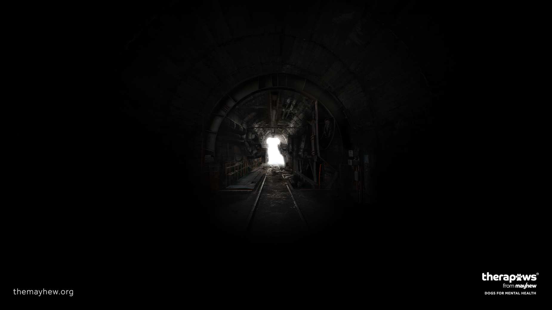 Mayhew Offers an Animal Shaped Light at the End of the Tunnel | LBBOnline