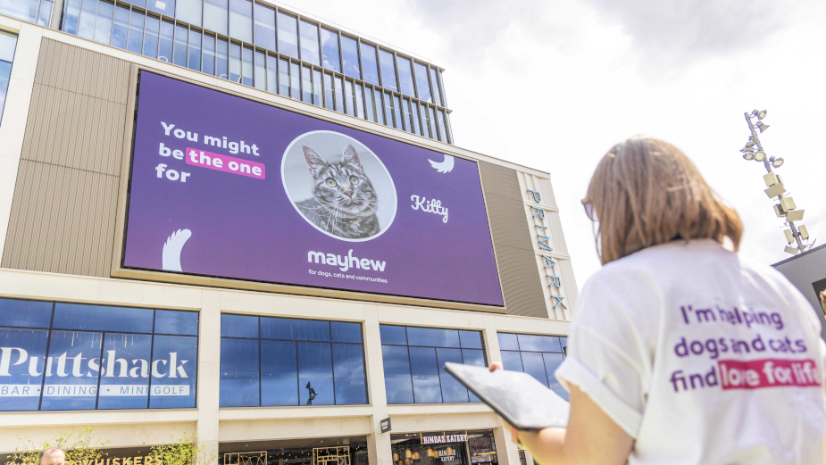 Rescue Dogs and Cats Seek Love for Life in Interactive Outdoor Campaign ...