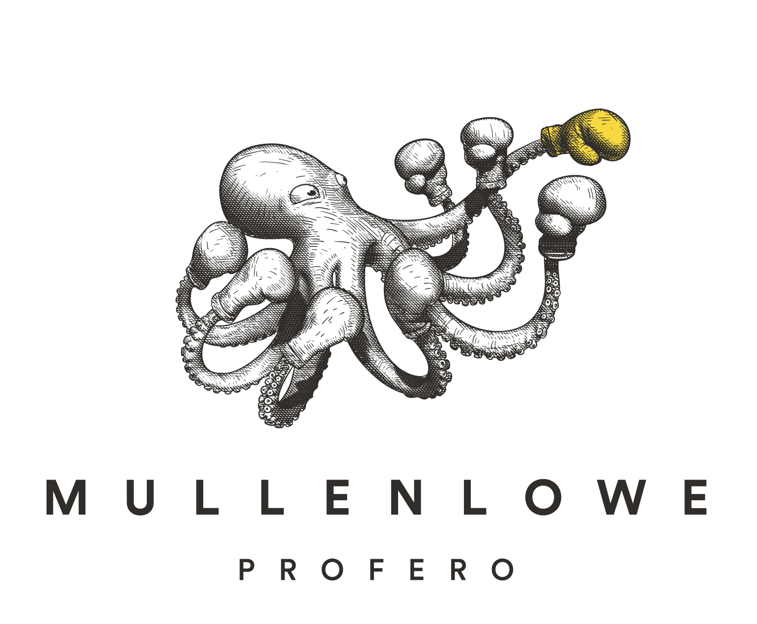 MullenLowe Profero Formalises Omnichannel offering | LBBOnline