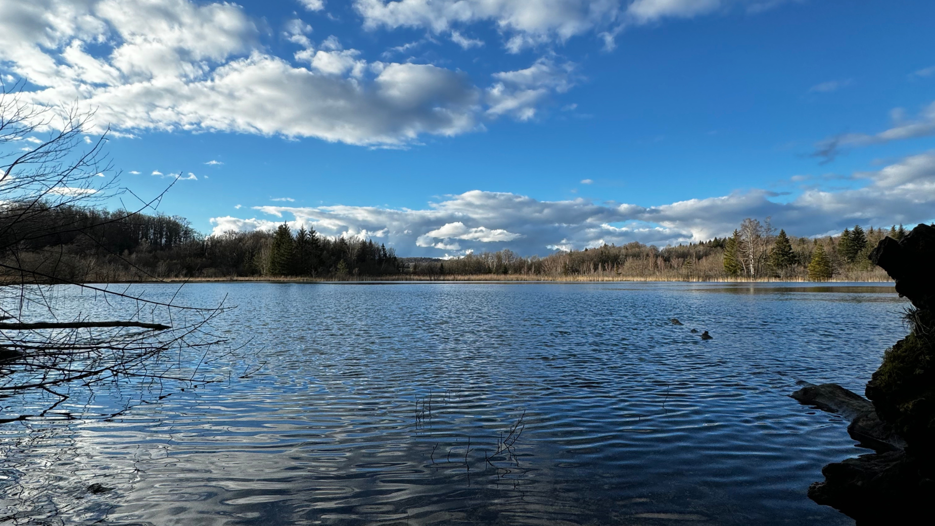Every Day Is Earth Day | LBBOnline
