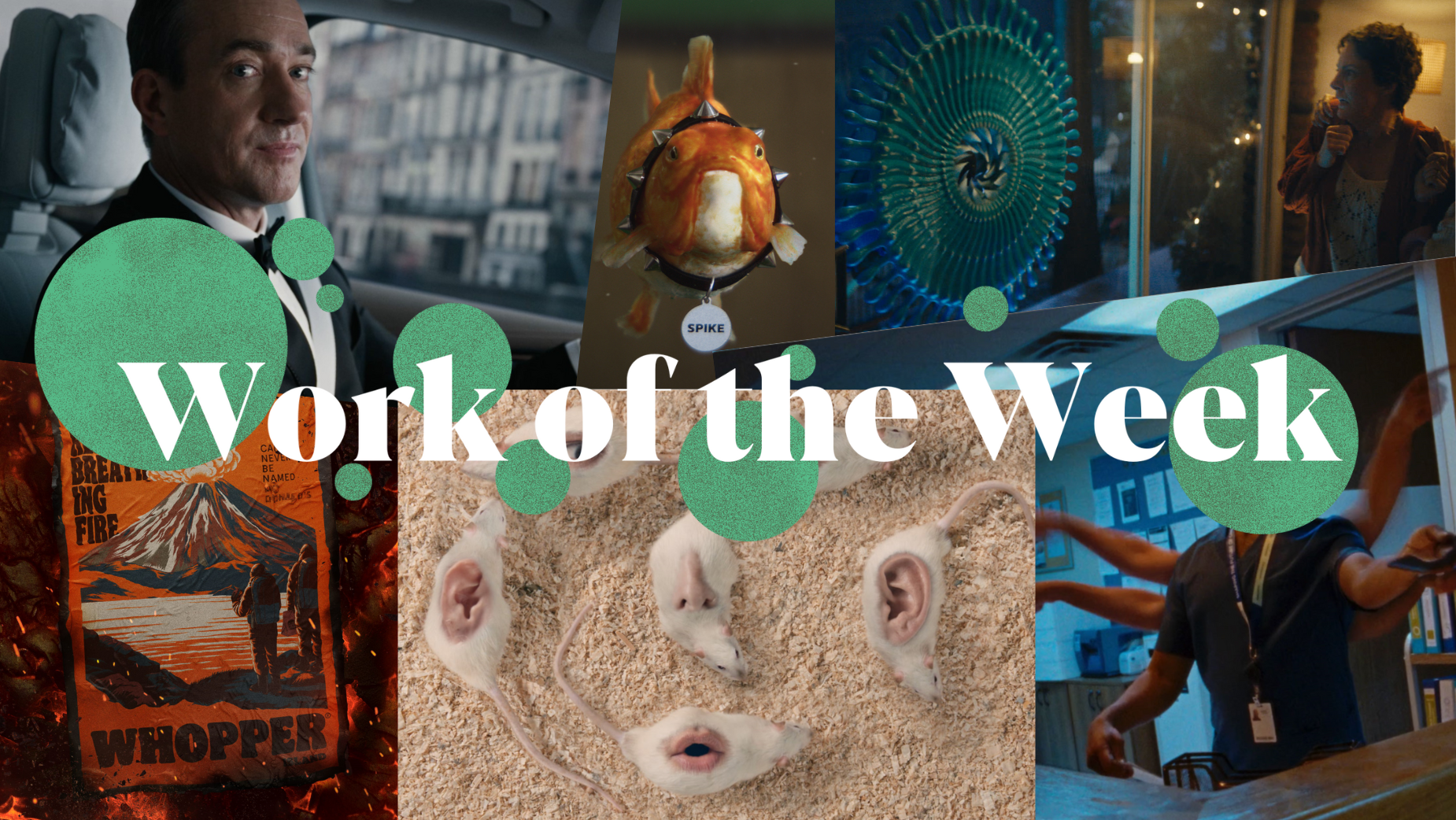 Work of the Week: 19/01/24 | LBBOnline