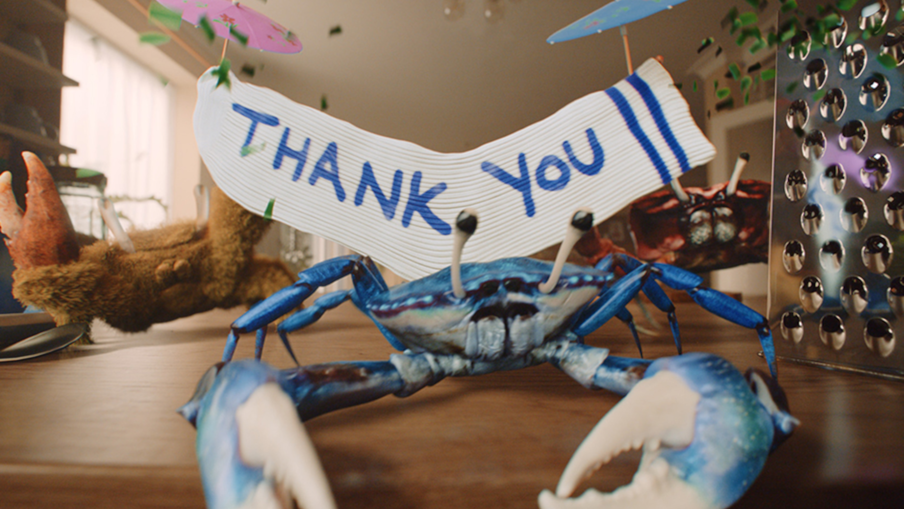 OceanSaver's Singing Crab Shanty Band Thanks UK Public for helping Save ...