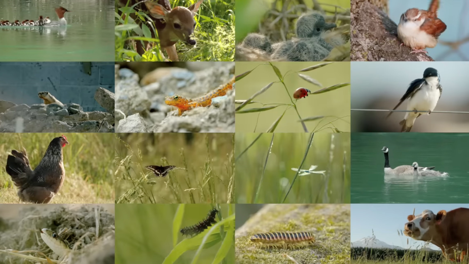 Organic Valley Farms Campaign Connects People with Where Their Food ...