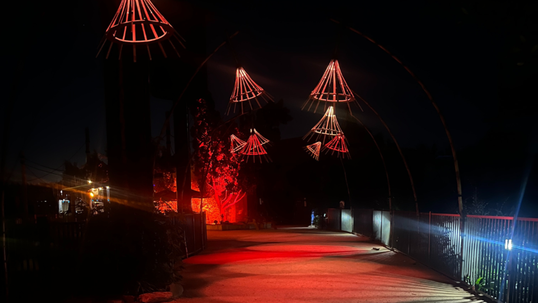 Otis Create Enchanting Soundscape for Sydney Zoo's GLOW Light Walk ...