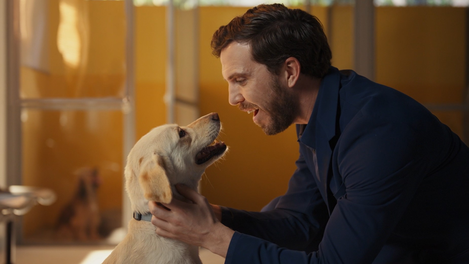 Love at First Sight Still Exists in PEDIGREE's Dog Adoption Spot ...