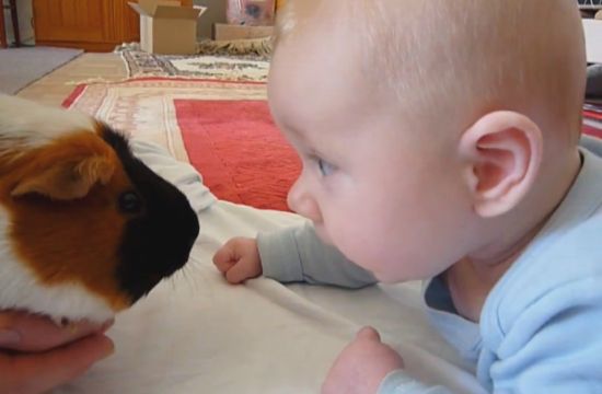 Prepare for Cuteness Overload in New Pets At Home Campaign | LBBOnline