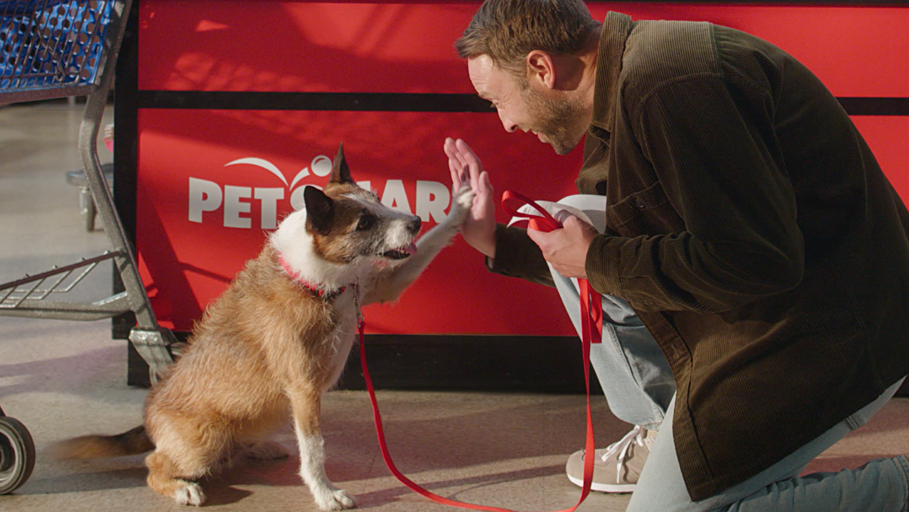PetSmart Showcases How Exciting Savings Can Be with an Adorable Lineup ...