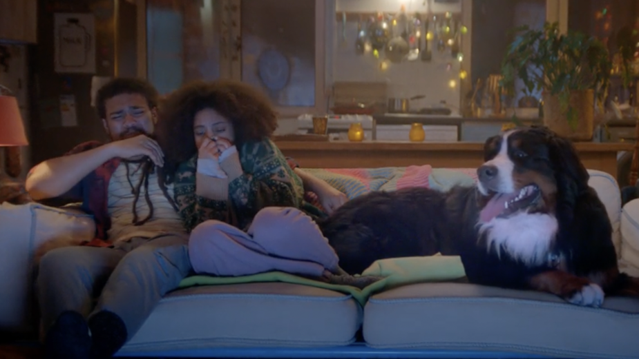 Pets at Home Rebrand Celebrates the Lengths We Go to Care for Our Pets ...