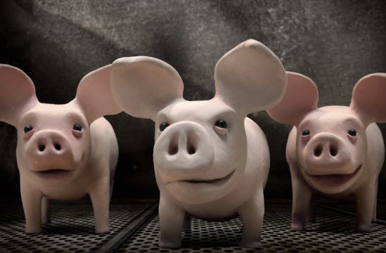'A Pig's Tail' from Aardman | LBBOnline