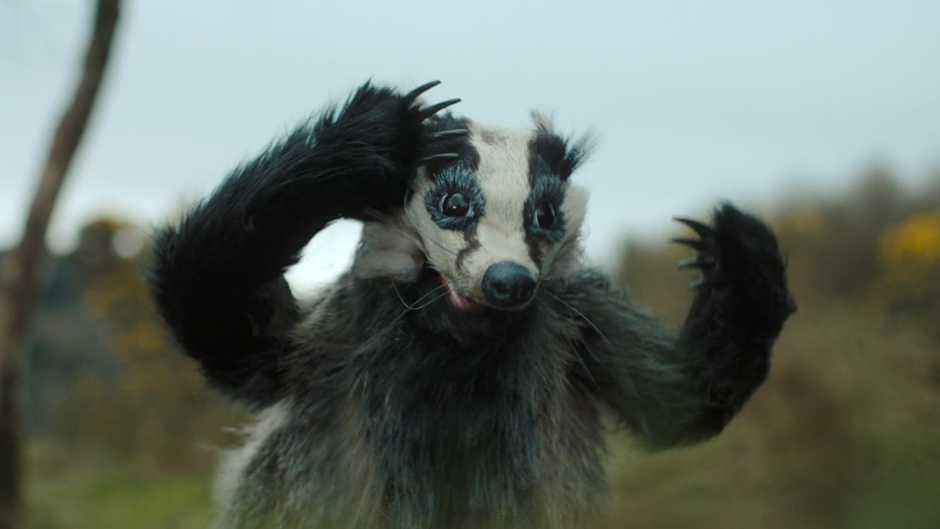 An Anxious Badger Stars in Publicis Dublin’s Campaign for Gas Networks ...