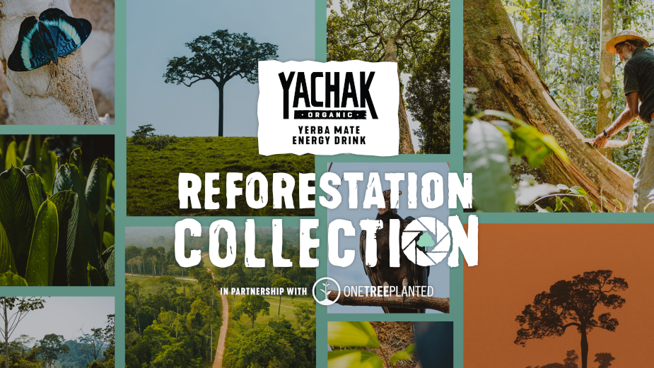 This Shutterstock Imagery Collection Funds Reforestation in the Amazon | LBBOnline