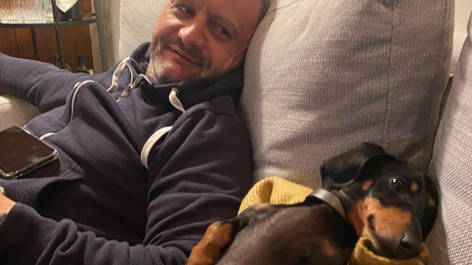 It’s Evolution, Stupid (Dog) | LBBOnline