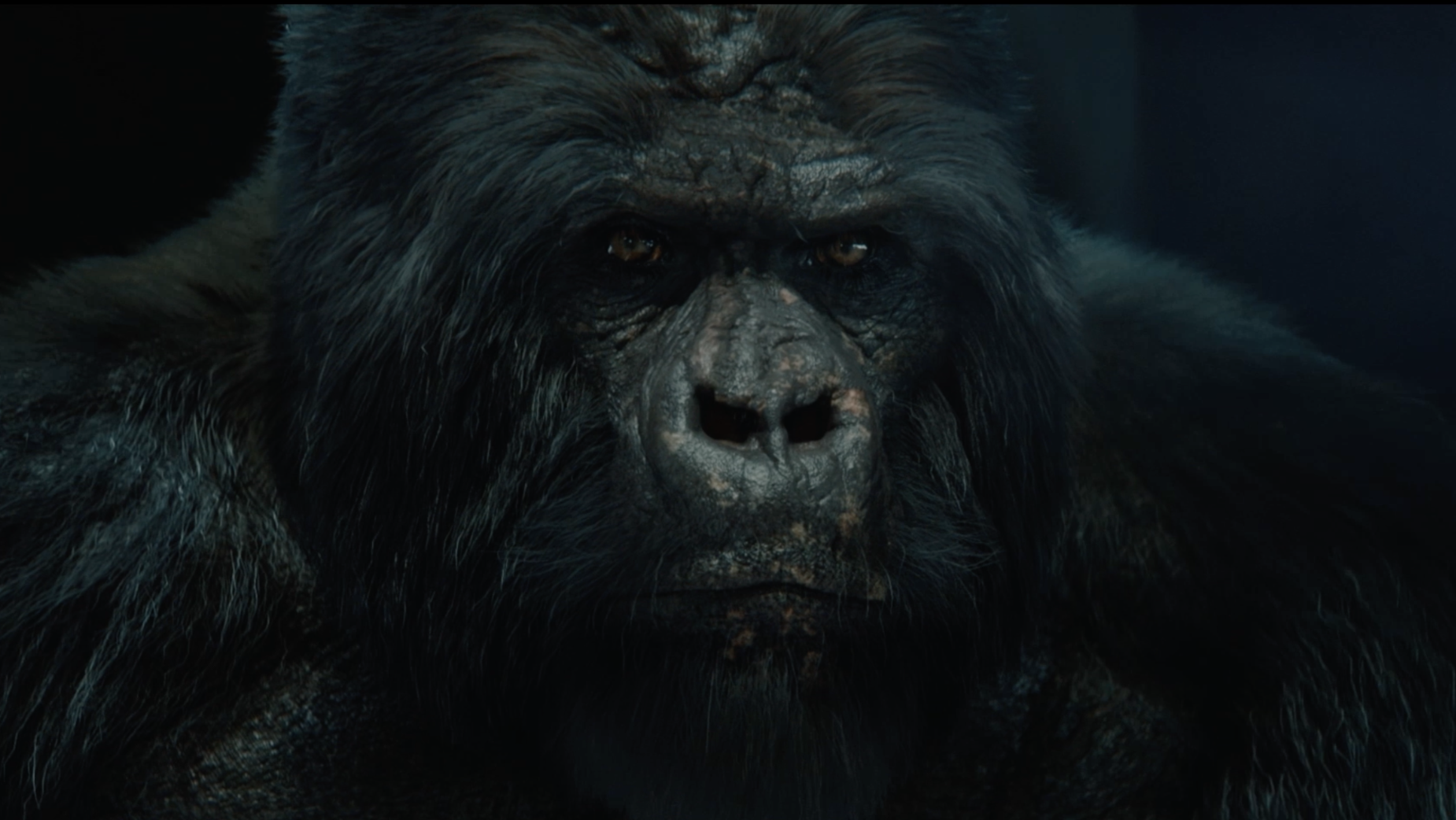 UNIT Studios and Eleven Film Craft Stunning CG for Paramount+ Series ...