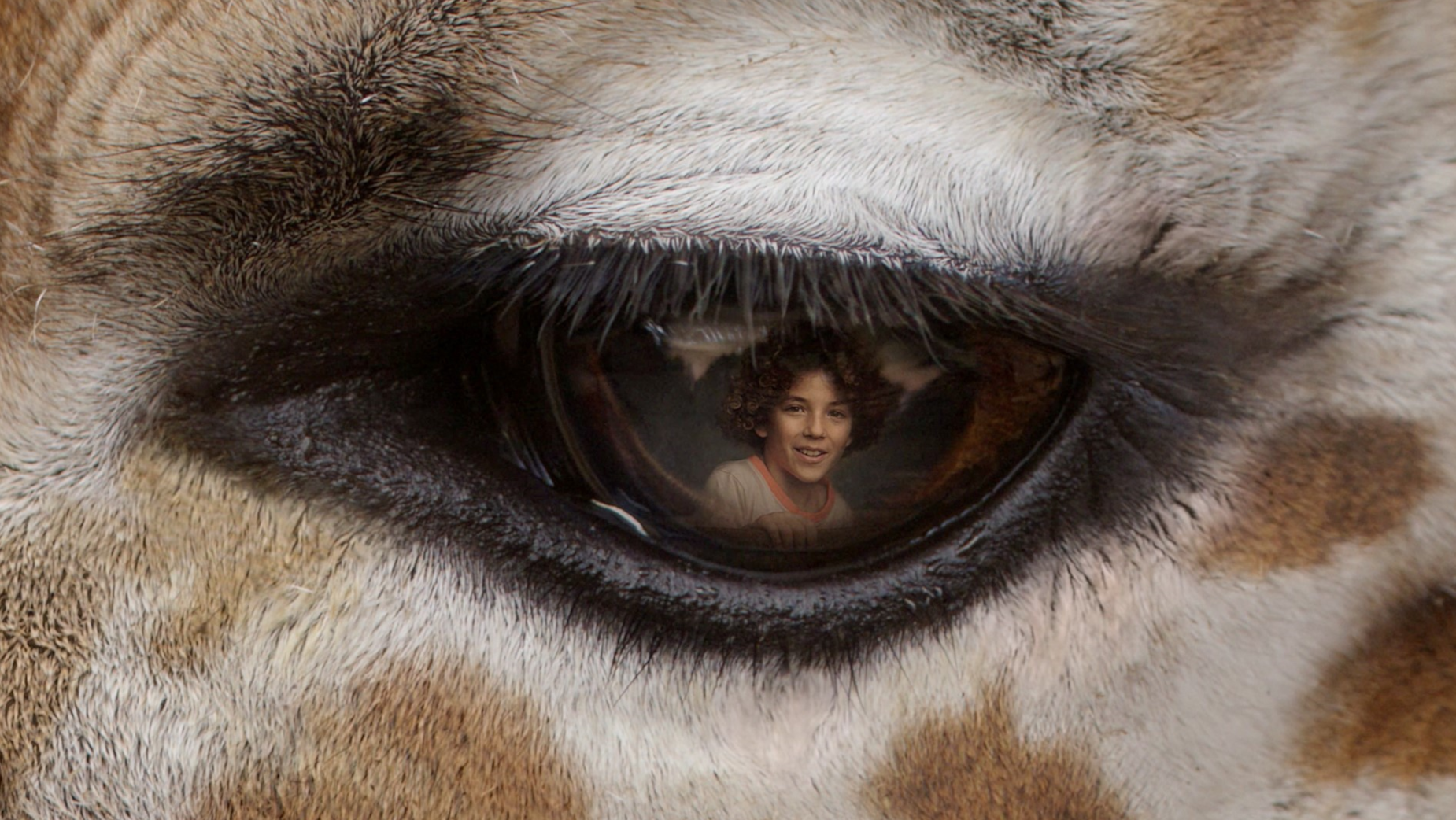 Get Eye to Eye with Wild Species in San Diego Zoo Safari Park Spot ...