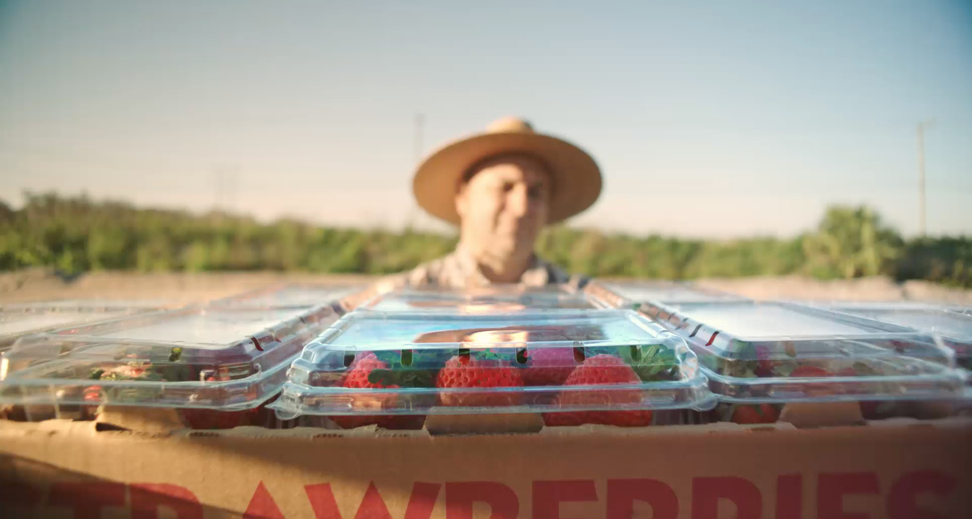 See the Extraordinary Life and Times of a Strawberry in New Ad Council ...