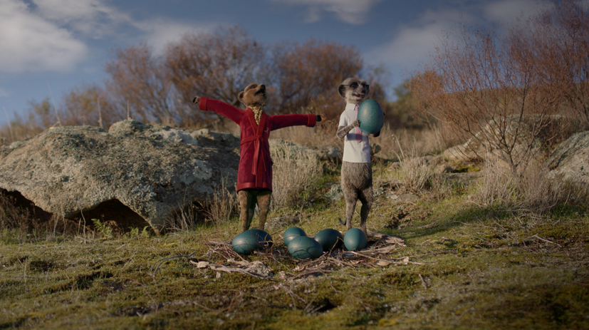 Meerkats Take The Long Way Home, But Will They Ever Get There? | LBBOnline