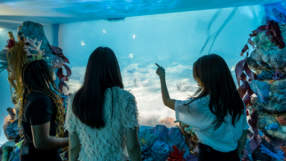 SHEBA® Arrives in Canada, Bringing More Hope to Coral Reefs | LBBOnline