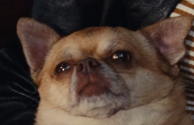 London Pub Gets Weird in Jasper Cable-Alexander’s Video for Sorry ...