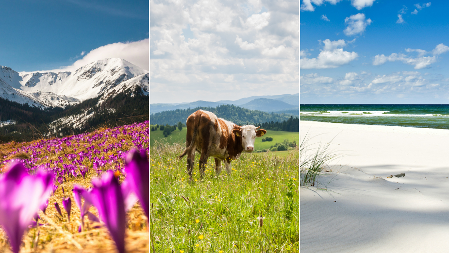 Lucky Luciano’s Location Spotlight: Spring in Poland | LBBOnline