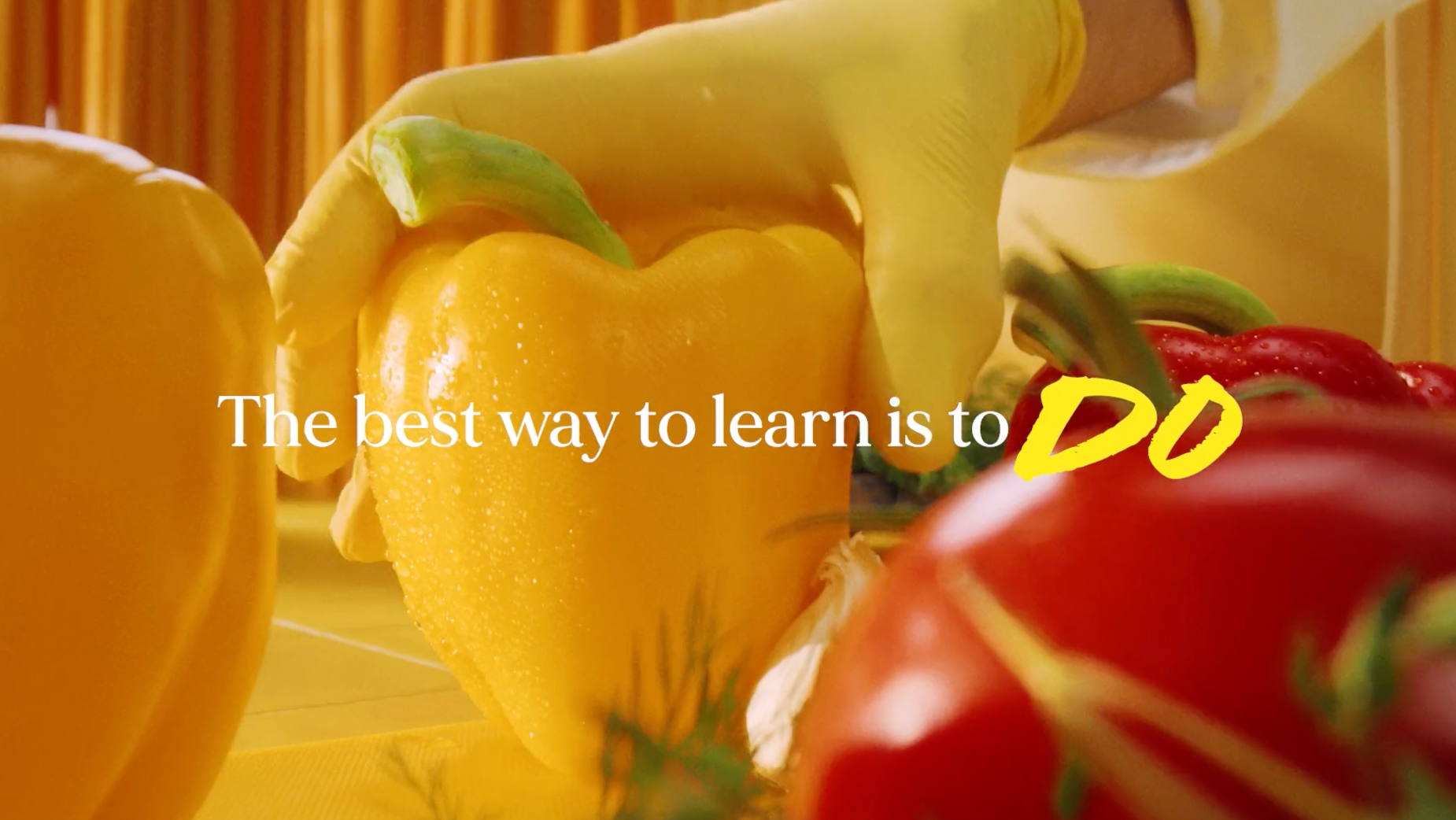 Sullivan University Spotlights 'Real World' Readiness for Students | LBBOnline