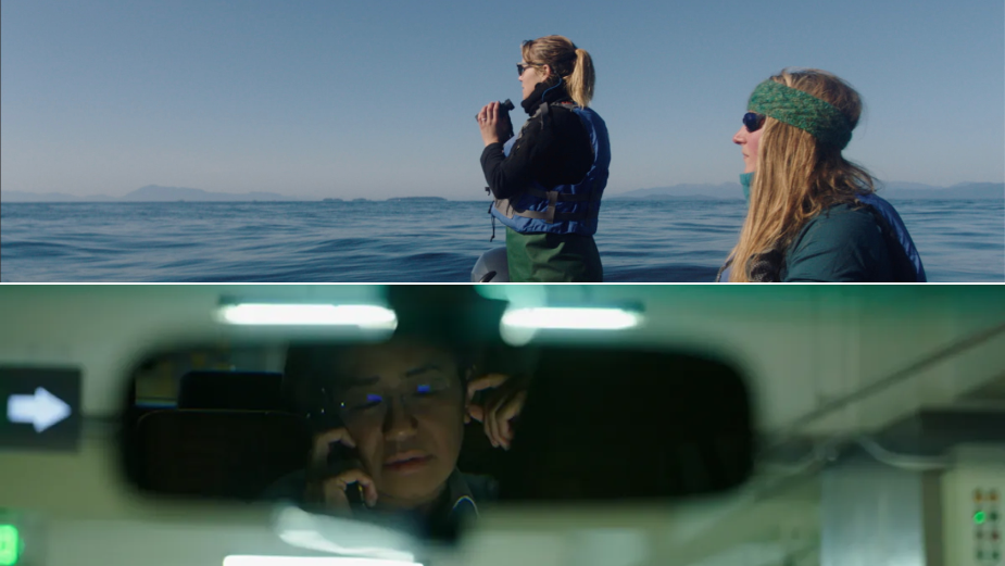 Crossing the Finish Line Together: How TBD Post Elevated These ...