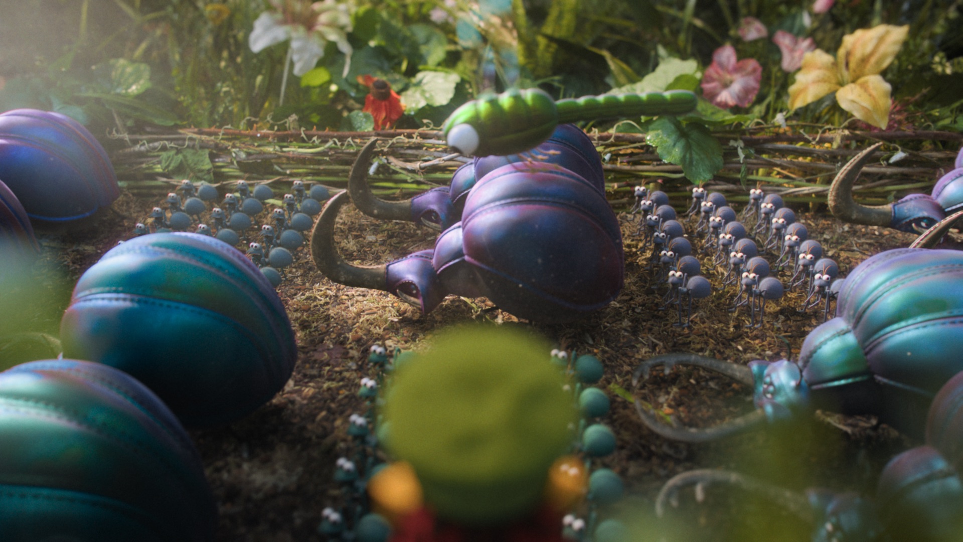 Ambassadors Introduces a Tiny, Dictator Shadybug to the Animated World ...