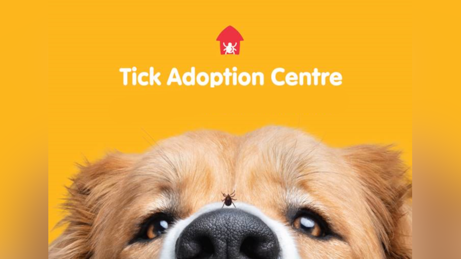 Dogs in Toronto Can Adopt an Emotional Support Tick at the Tick ...