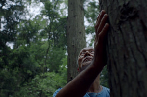 Squire's Michelle Coomber Takes to the Treetops with Master Treehouse ...