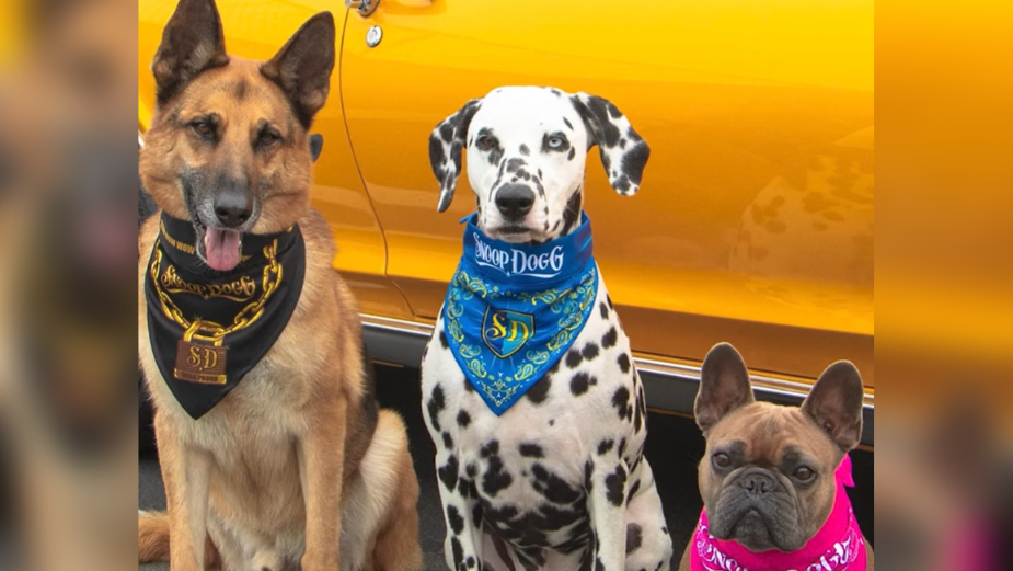 Chemistry Helps Snoop Dogg Add a Little Flavour to Pet Owners’ Fur ...