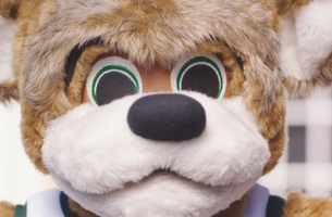 New BMO Milwaukee Bucks Campaign by FCB Canada Supports Fans Over ...