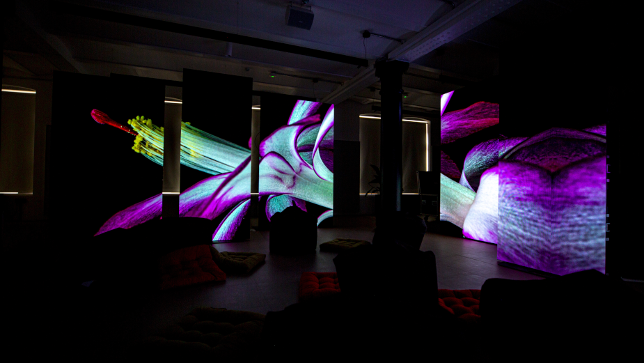 VCCP London Focuses on New Wellbeing and Inclusivity Initiatives to ...