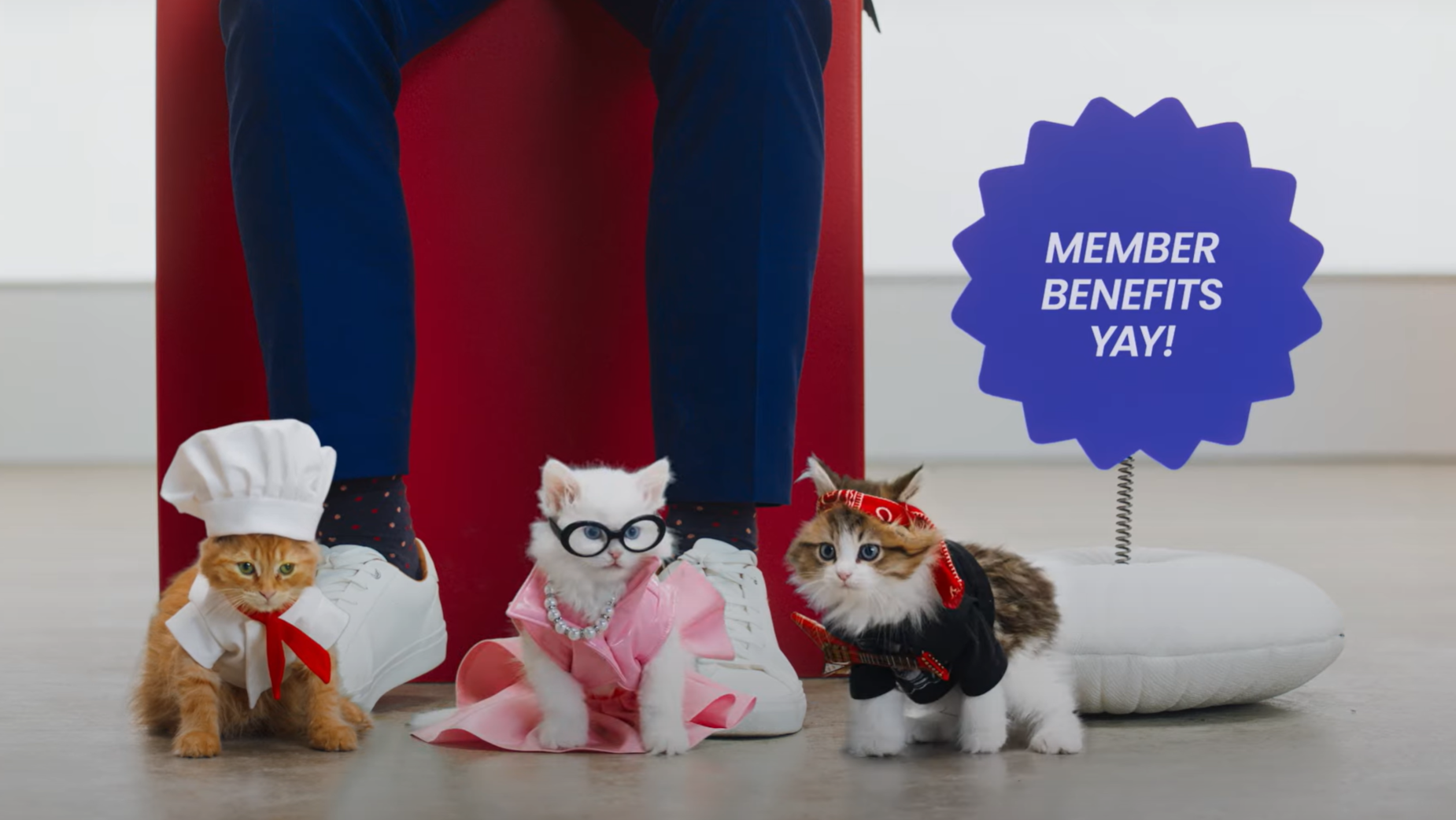 Virgin Plus Doesn’t Need Adorability to Sell It's Mobile and Internet ...