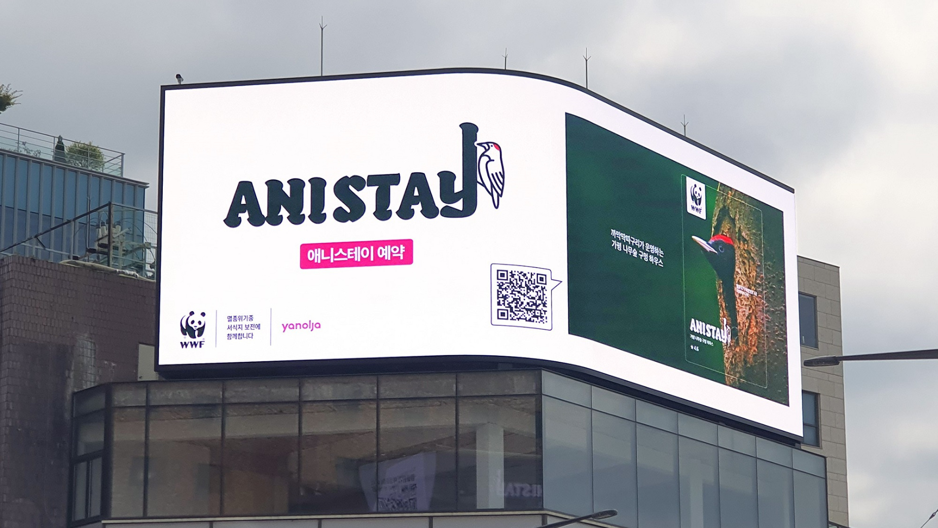 WWF-Korea Launches ANISTAY Campaign to Protect the Homes of Endangered Wildlife | LBBOnline