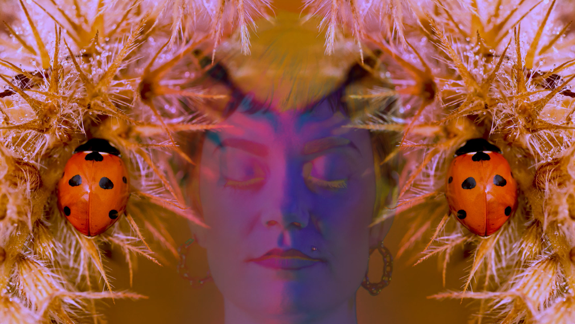 Wildfarmed Celebrates ‘Life-Changing’ Bread that Sparks a Vivid ...