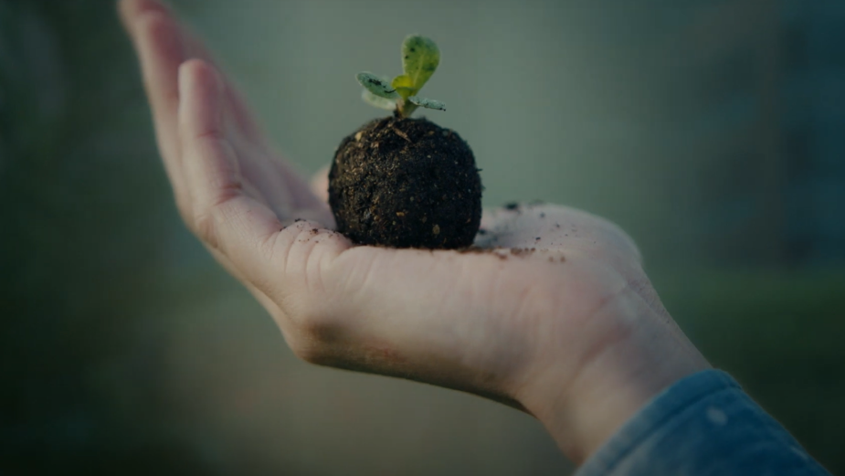 Editor Peter Mostert Breaks Ground with Soothing Launch Campaign for ...