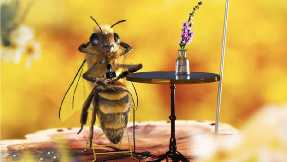 Hot Buzz: How Bee_nfluencer Swarmed Instagram (with a Little Help from ...