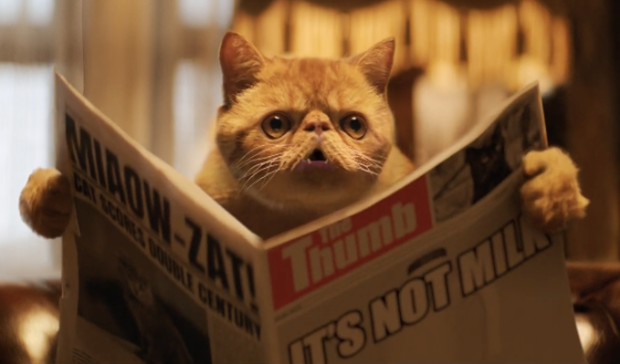 Is Cravendale Really Milk? W+K London Explores in Latest Campaign ...