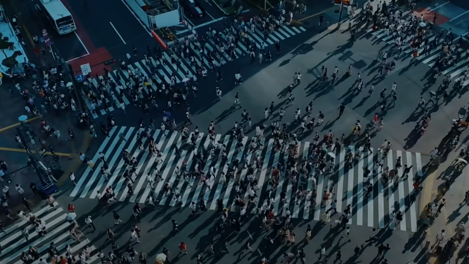 Northern Lights Collaborates with HBO Max to Promote Scripted Max ...