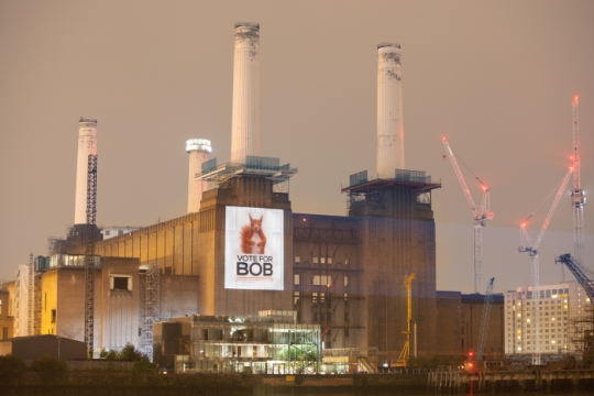 Why RSPB Wants You to Vote for Bob the Squirrel This General Election ...