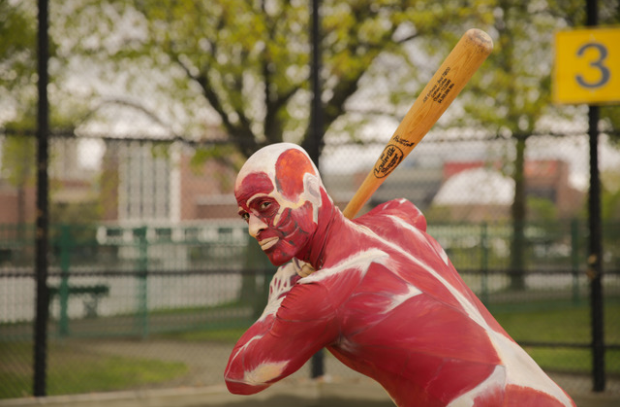 The Museum of Science Turns Heads with Body Worlds & The Cycle of Life ...