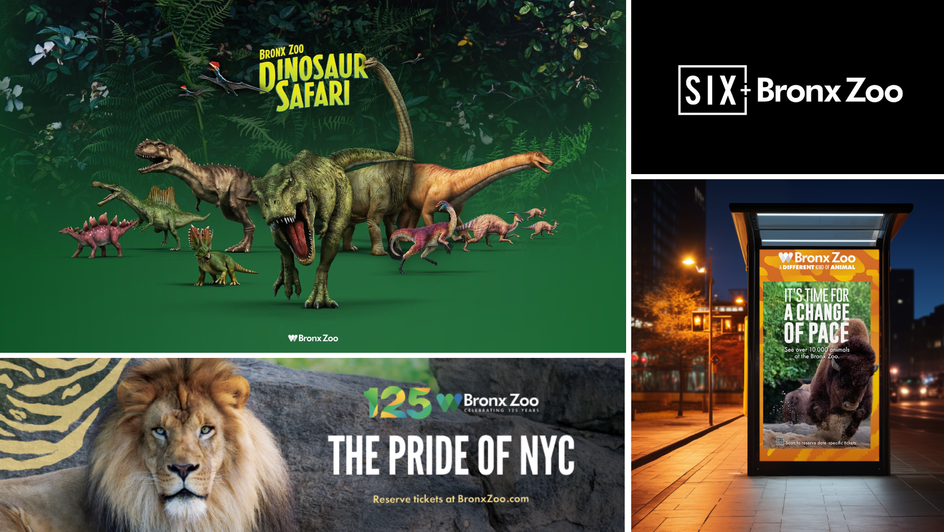 Agency Six+One Says Farewell to the Bronx Zoo After 6 Years | LBBOnline