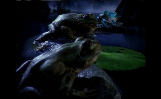 The Budweiser Frogs Are Back | LBBOnline