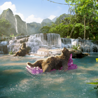 MoneySupermarket Launches 'Get Money Calm' Campaign with Engine ...