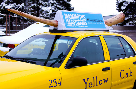 Mammoth-Sized Taxi Toppers | LBBOnline