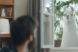 Lucky 21's Rob Pritts Captures Uncomfortable Moments with a Llama for ...