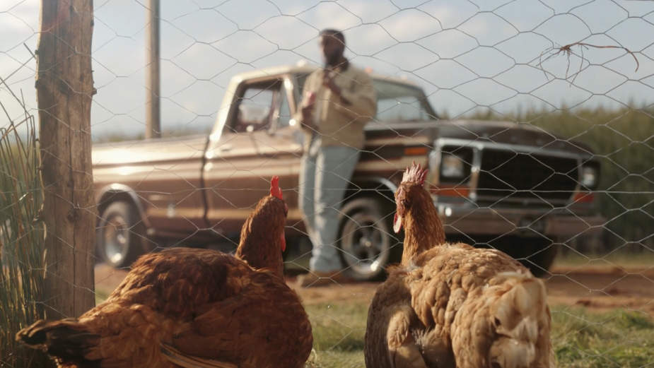 Philosophical Chickens Ask 'What Came First, the Cookie or the Cookie ...